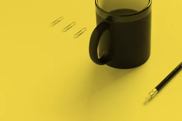 An Early Lean Startup Success: IMVU