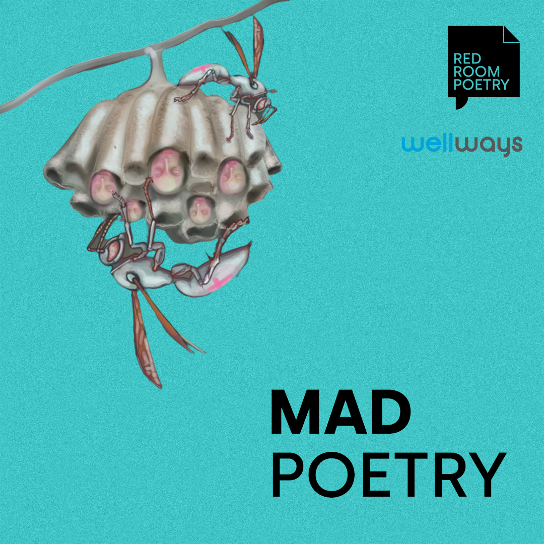MAD Poetry Workshop: National (online) | New Australian poetry ...