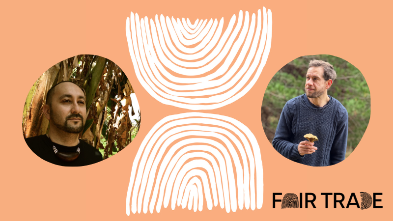 How Does a Tree | New Australian poetry, contemporary Australian ...