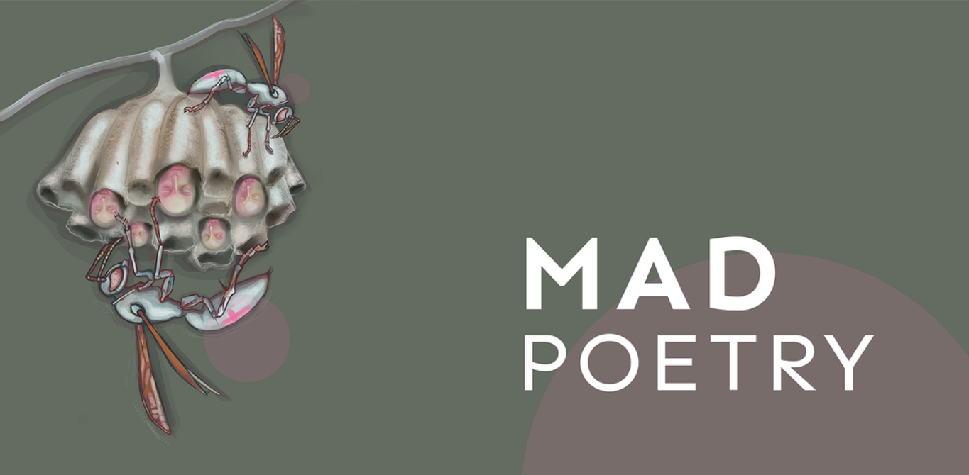MAD Poetry | New Australian poetry, contemporary Australian writers ...