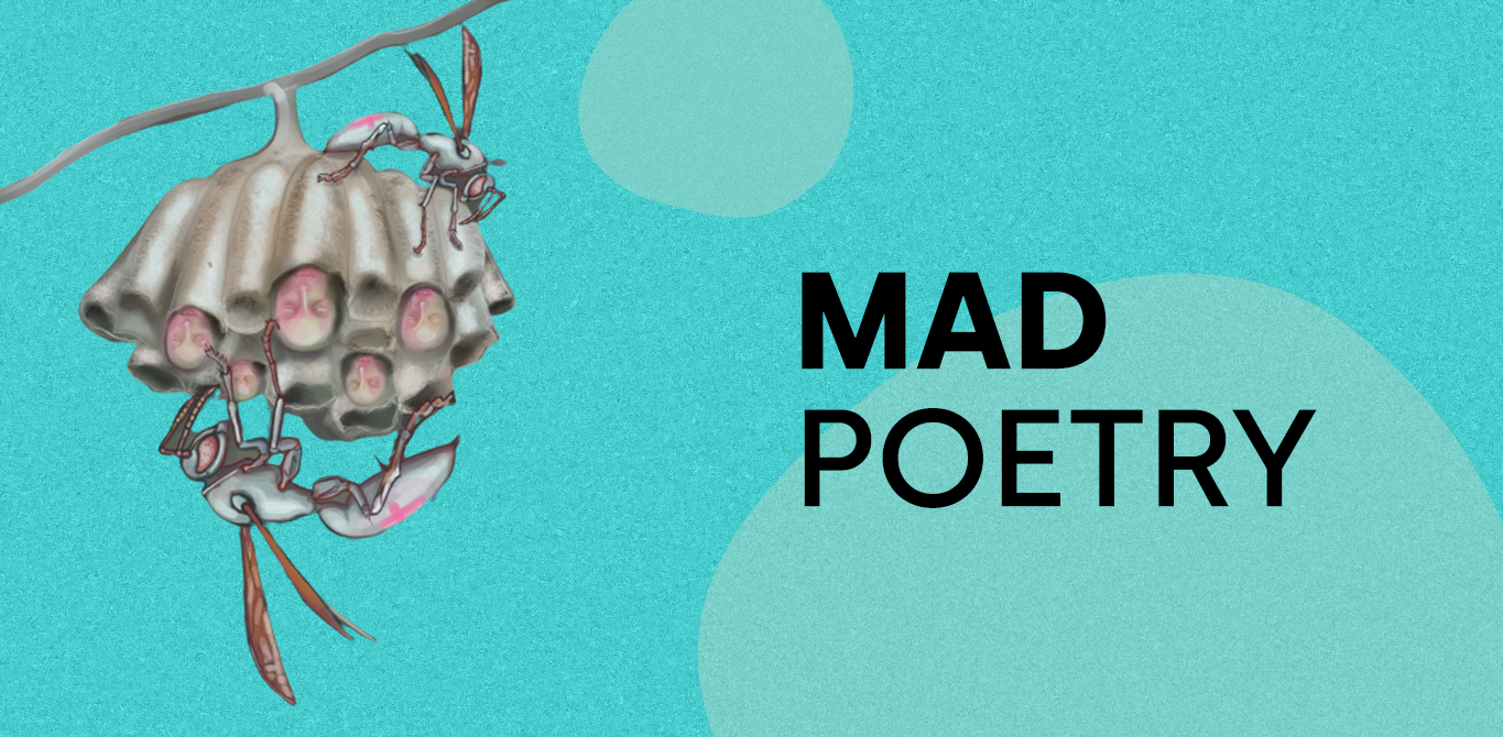 MAD Poetry | New Australian poetry, contemporary Australian writers ...
