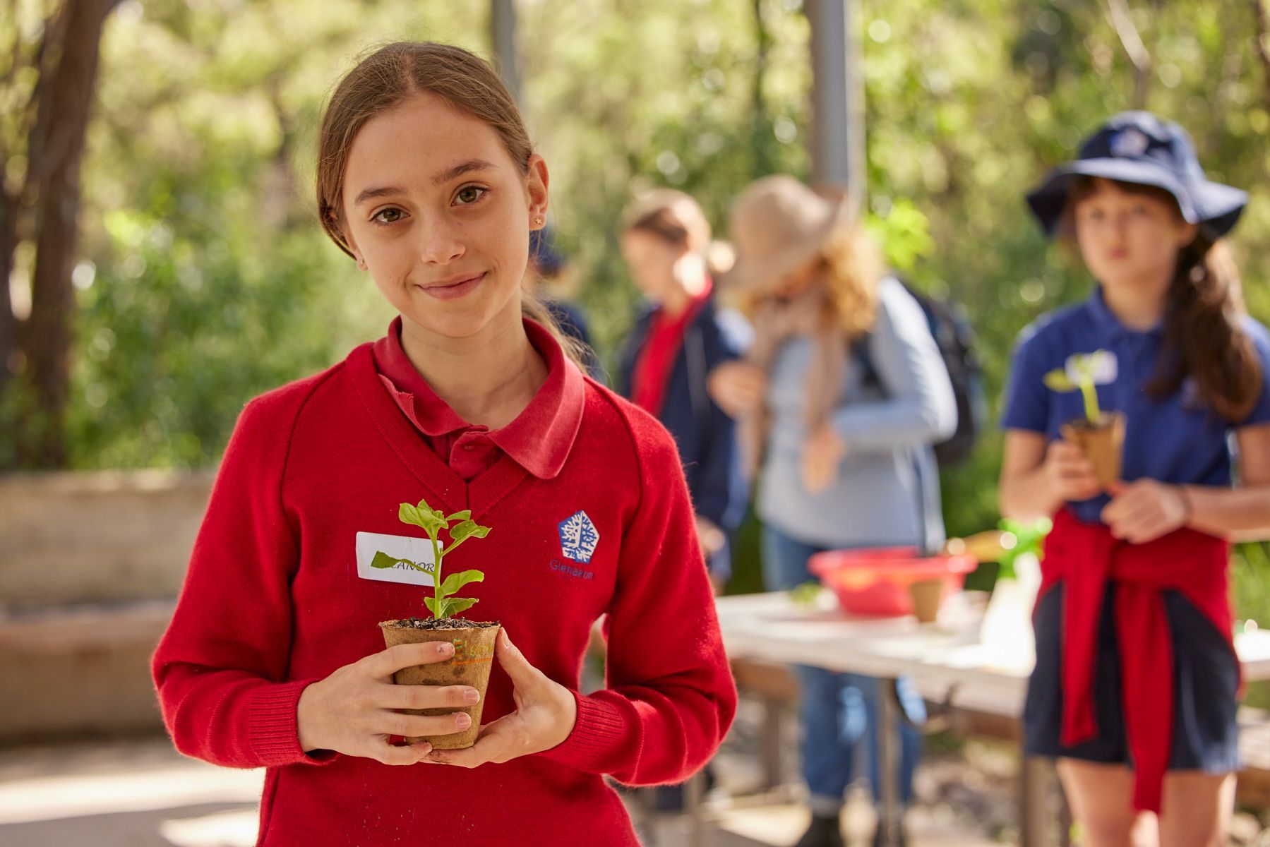 Threatened Species Day - POEM FOREST Workshop (Primary) | New ...