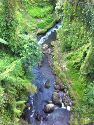 Sydney disappears in Ubud | New Australian poetry, contemporary ...