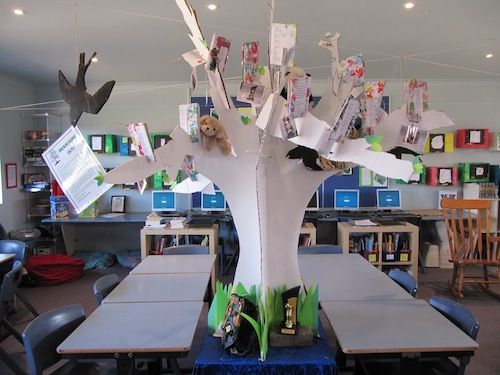 Springtime blossoms of the Poet Tree | New Australian poetry ...